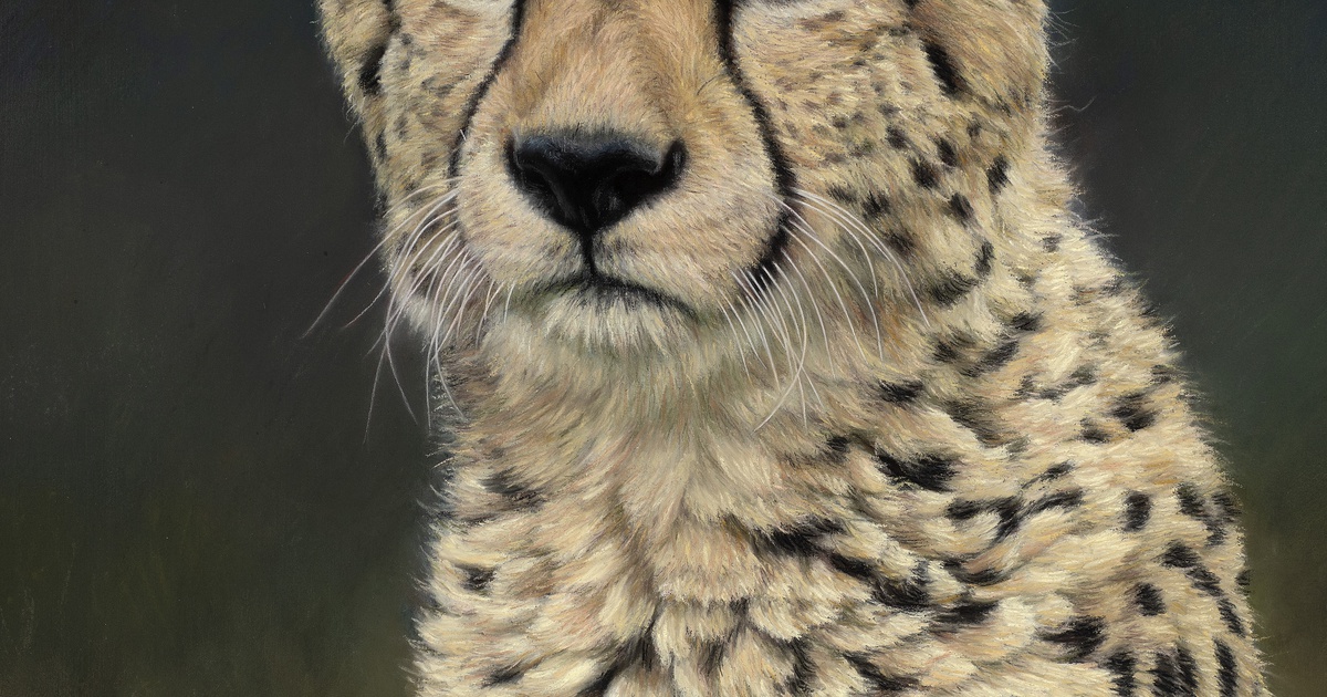 Lee Andre - Exhibitions | Jonathan Cooper