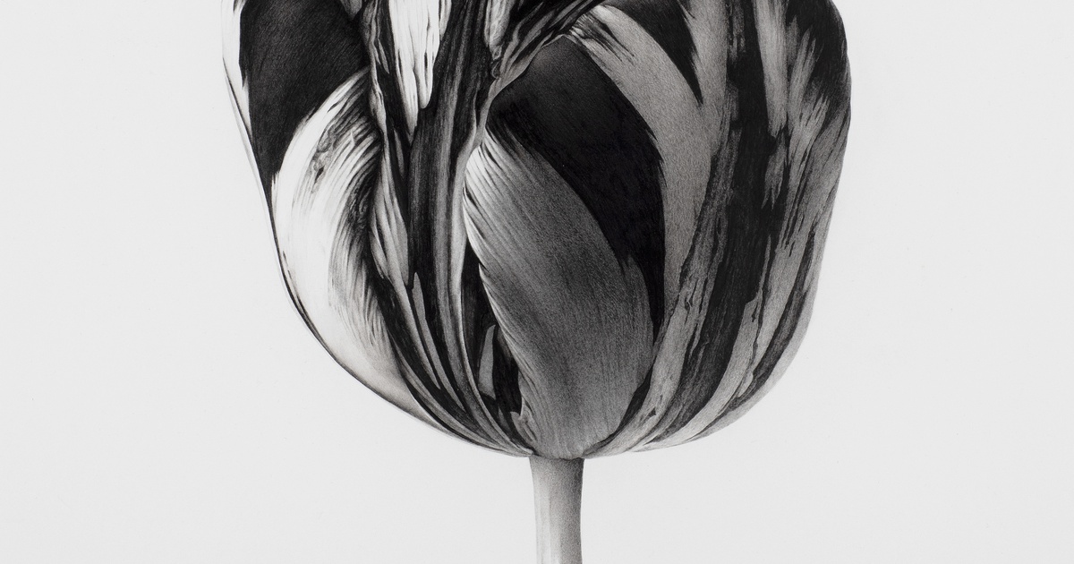 Angus Fisher - Exhibitions | Jonathan Cooper