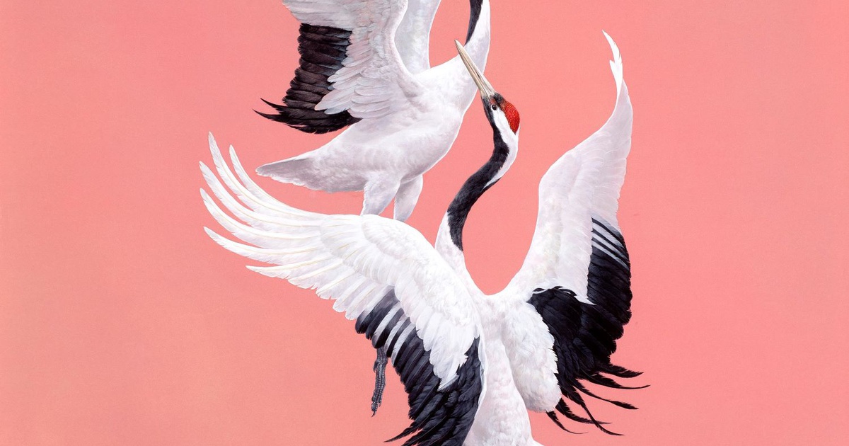 SCOTTIE WILSON (1891-1972) - Exhibitions | Jonathan Cooper