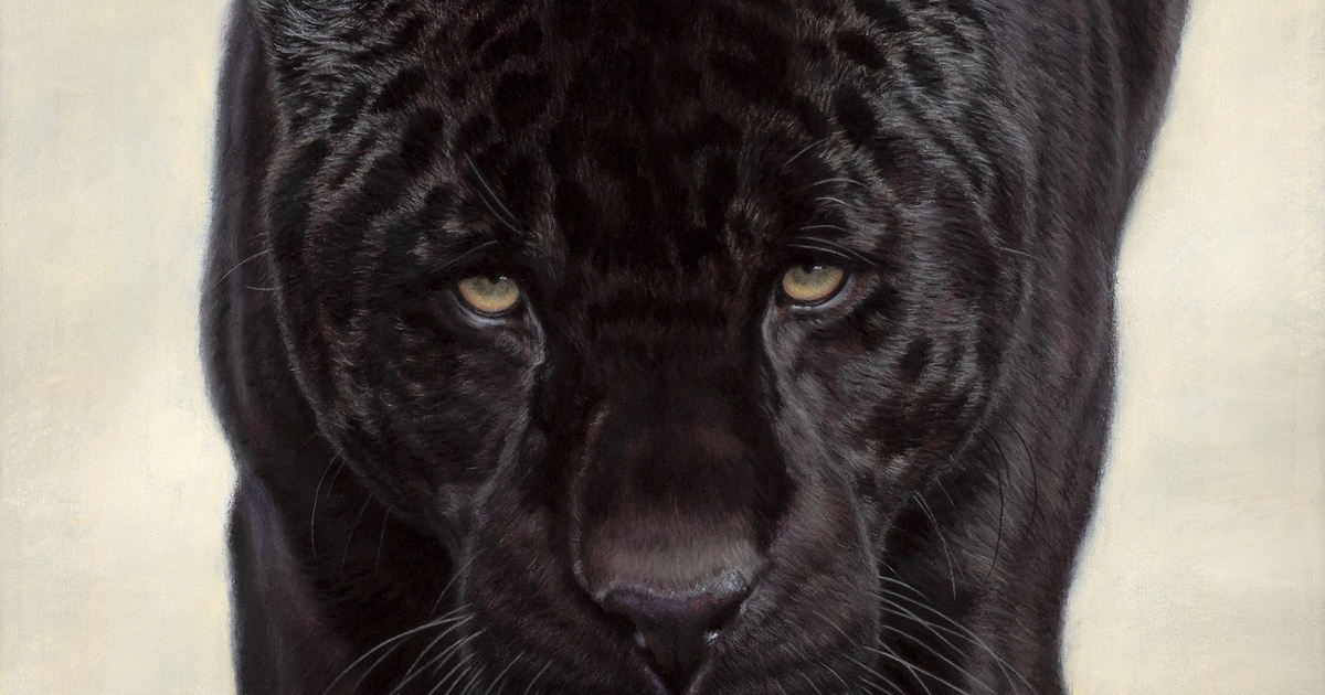 13 TREASURES - Publications | Jonathan Cooper