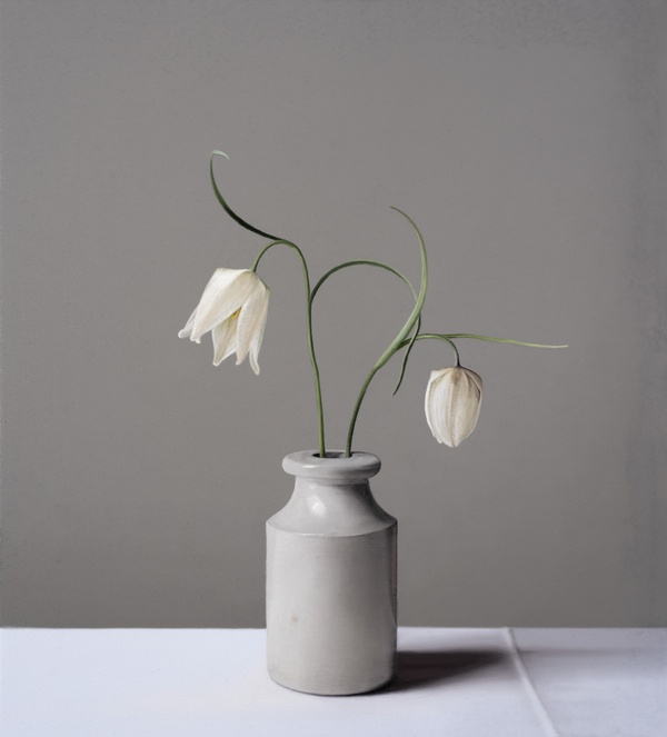 Exhibitions | Jonathan Cooper