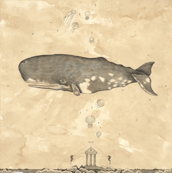 Exhibitions | Jonathan Cooper